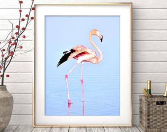 Flamingo poster | Etsy