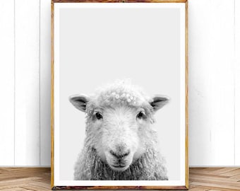 Sheep poster | Etsy