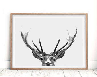 Printable deer | Etsy