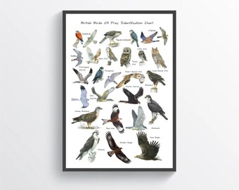 British Garden Birds Identification Chart Wildlife Poster A5 A4 A3 A2 ...