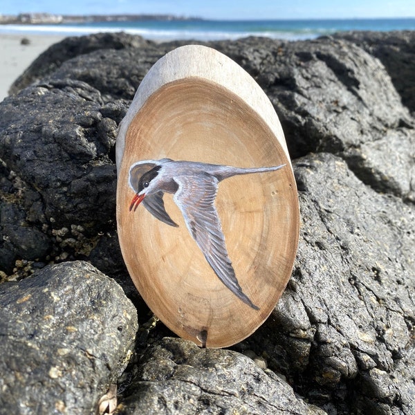 Common Tern - Etsy