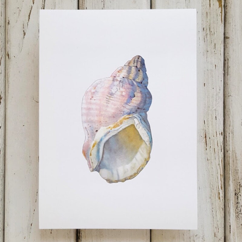 Shell Art Print - Etsy