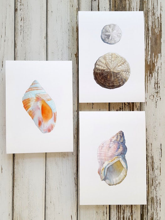 Sand Dollar Print Sand Dollar Art Shell Art Seashell Print | Etsy