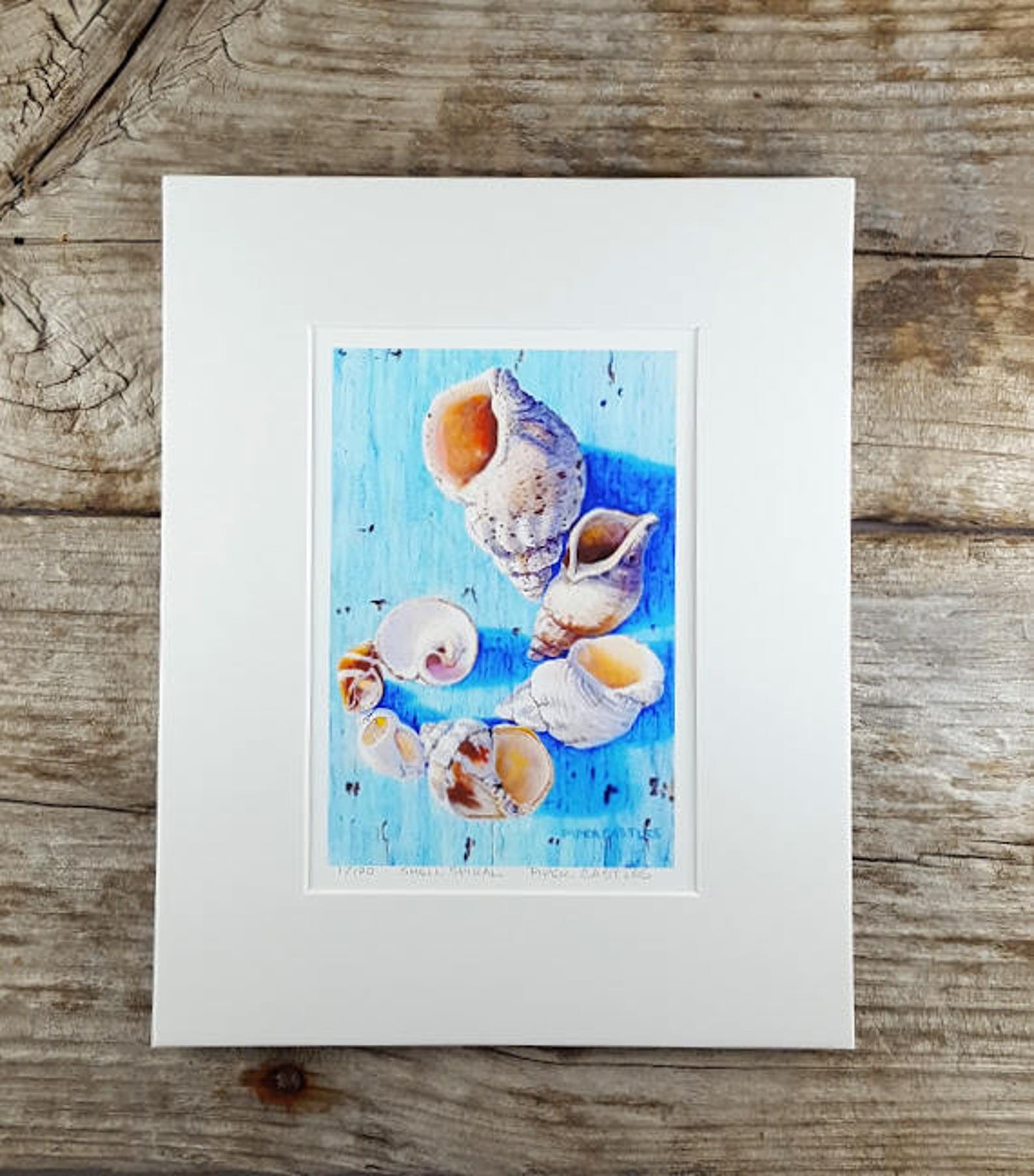 Shell Art Print Teal Shell Print Turquoise Wall Art Shell - Etsy