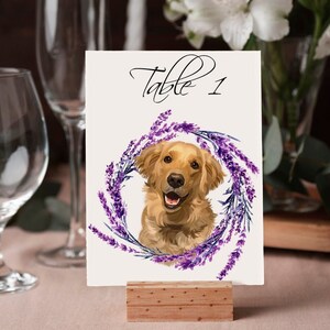 Seating Chart Sign Wedding Dog Sign Wedding Reception Table Numbers ...