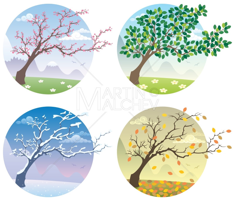 Four Seasons Vector Cartoon Illustration. Season, Seasonal, Cycle ...