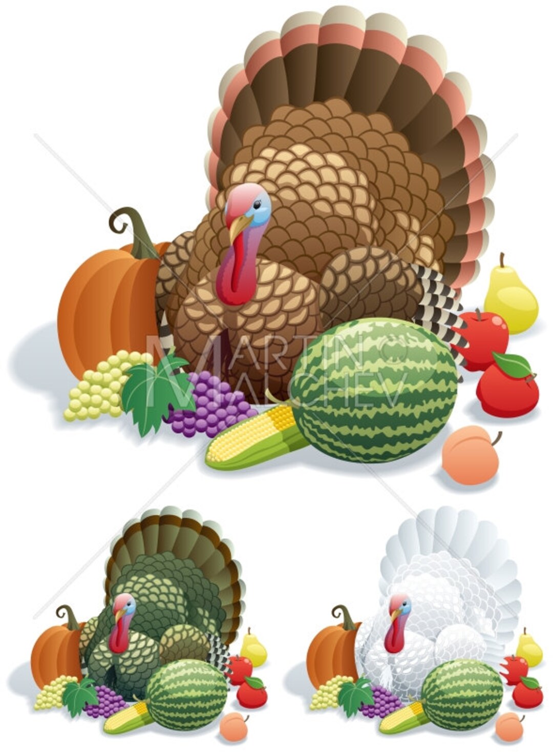 Thanksgiving Turkey Vector