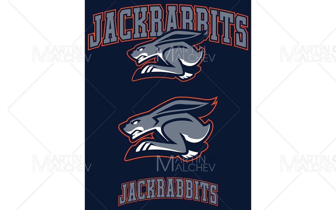 Jackrabbits Team Mascot Vector Illustration. Mascot, Jackrabbit, Rabbit ...