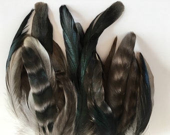 Real bird feathers | Etsy