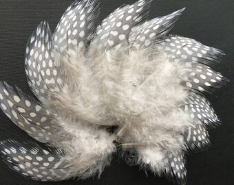 Guinea fowl feather | Etsy