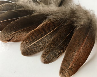 Real bird feathers | Etsy