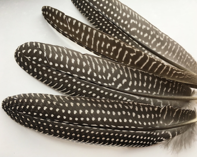 15 Pcs Guinea Fowl Wing Feathers Polkadot Feathers Natural Feathers ...