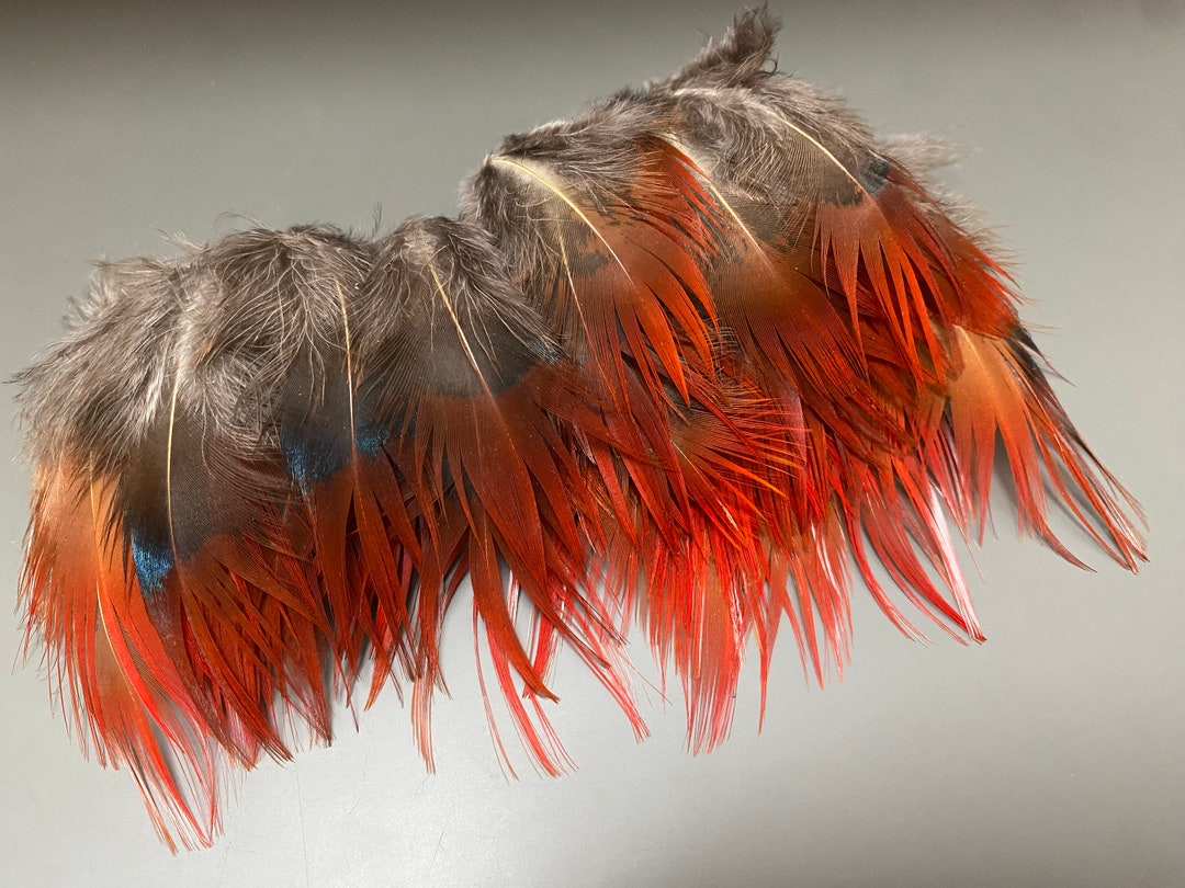 50 Pcs Red Pheasant Feathers Natural Feathers Small Feathers Jewelry ...