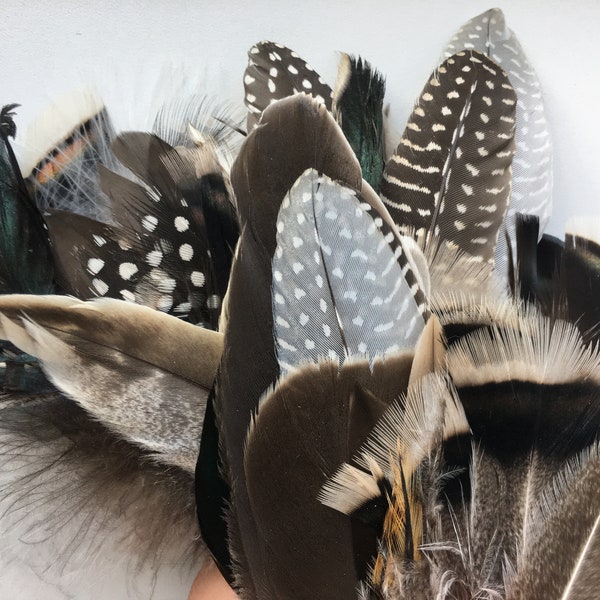 Craft Feathers - Etsy