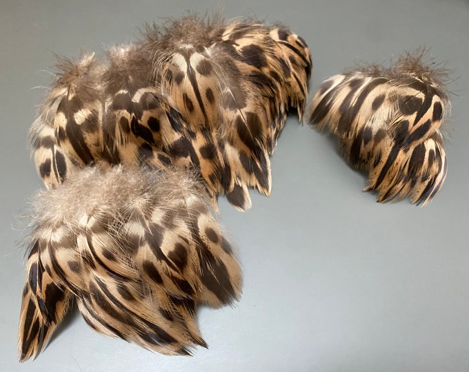 60 Pcs Duck Feathers Striped Feathers Natural Feathers Brown Feathers ...