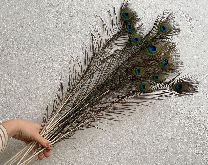 12 Pcs Peacock Long Feathers Green Feathers Striped Feathers Smudge ...