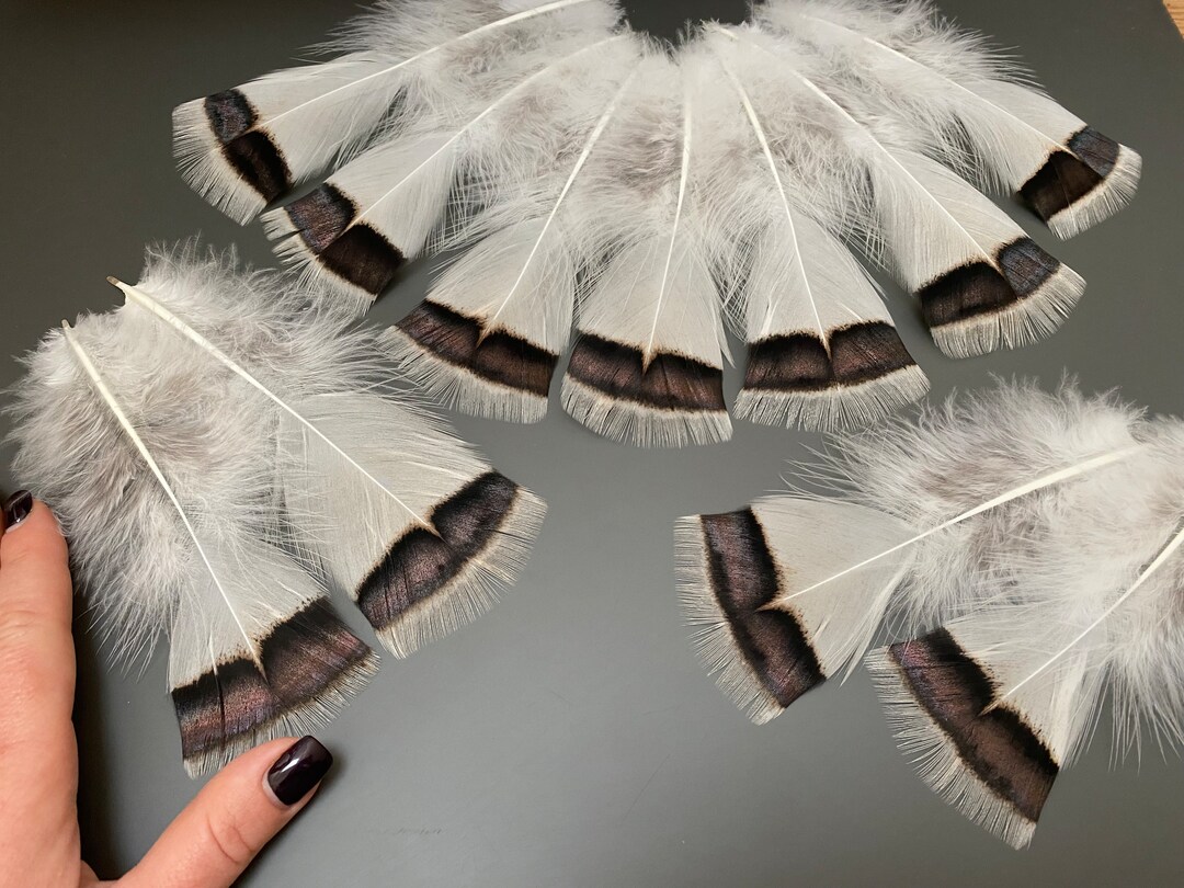 14 Pcs Turkey Feathers Striped Feathers Royal Palm Feathers - Etsy