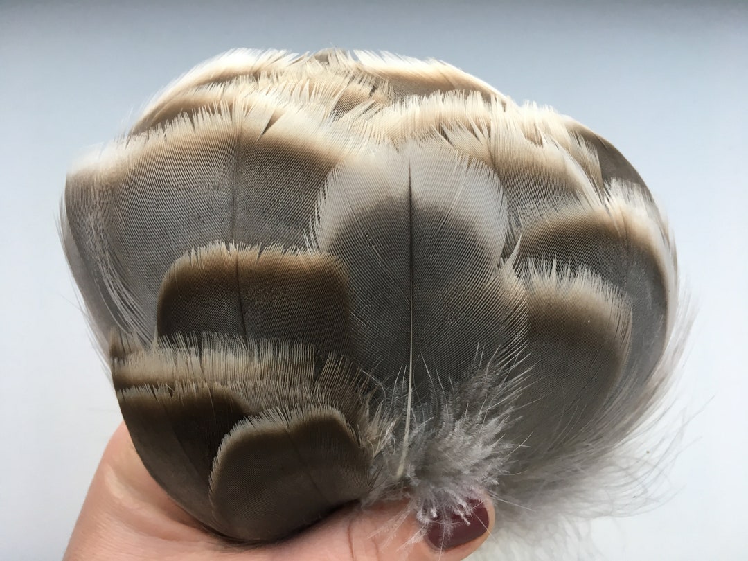 80 Pcs Curled Goose Feathers Natural Feathers Real Bird Feathers Smudge ...