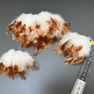 60 Pcs Small Rooster Feathers Spotted Feathers Natural Feathers Loose ...