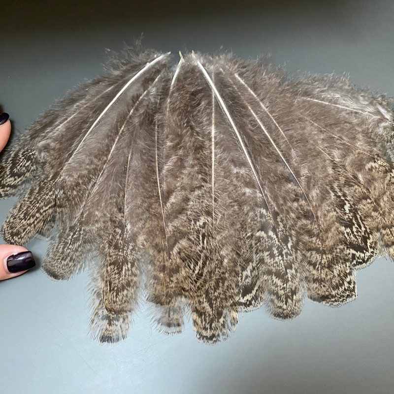 Brown Feathers - Etsy