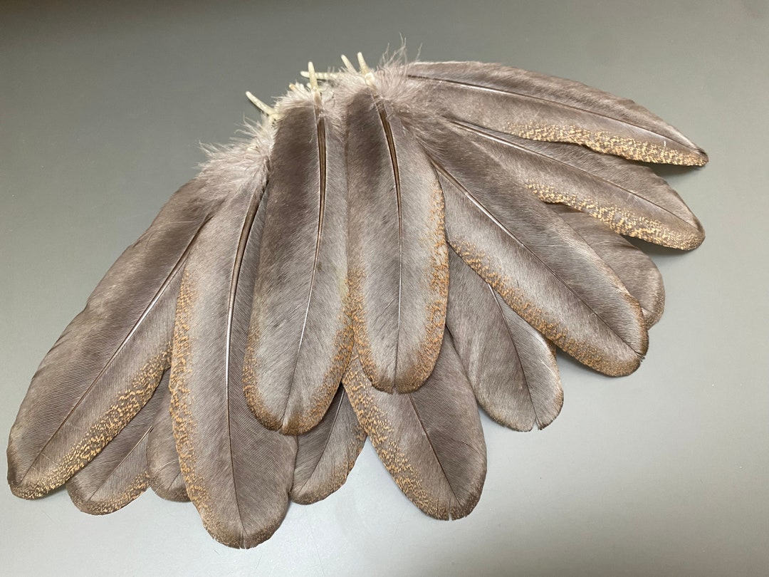 14 Pcs Rooster Wing Feathers Natural Feathers Long Feathers Hat ...