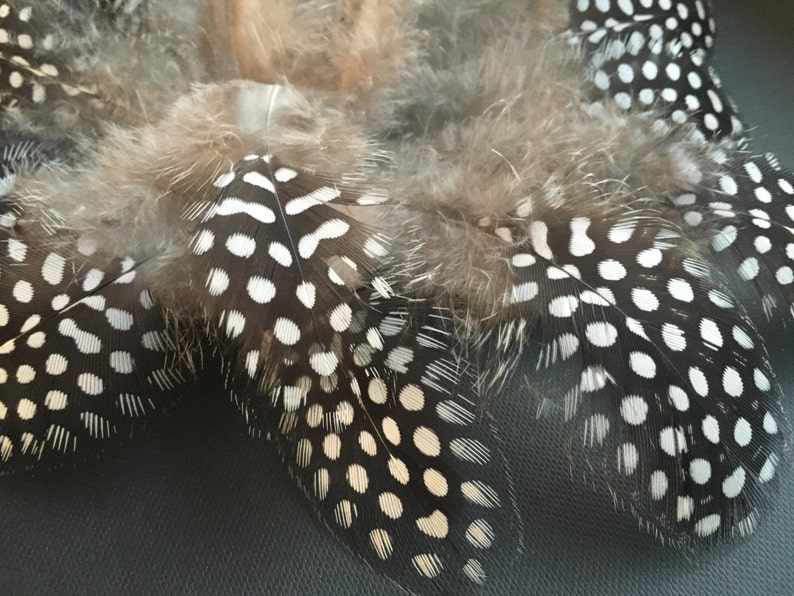 Guinea Feathers 30 Medium Size Natural Guinea Fowl FEATHERS - Etsy UK