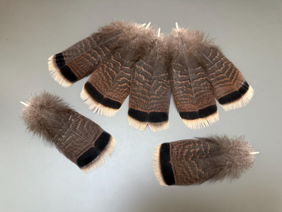 7 Pcs Turkey Feathers Natural Feathers Jewelry Feathers Brown Feathers ...