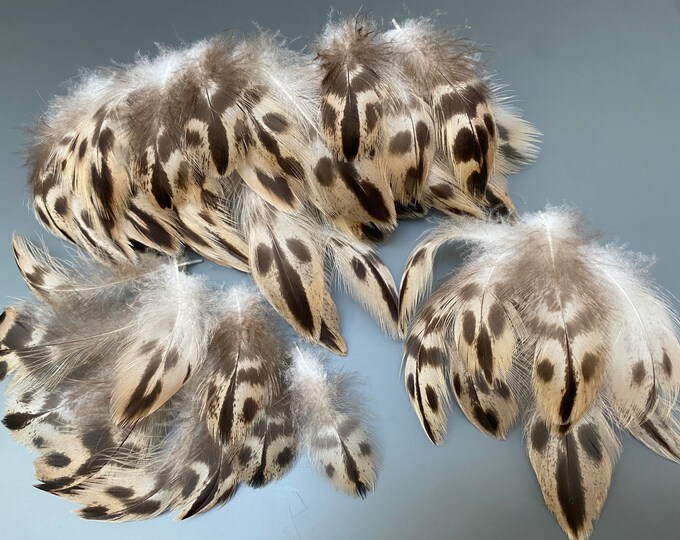 60 Pcs Amazing Duck Feathers Spotted Feathers Small Feathers Loose ...
