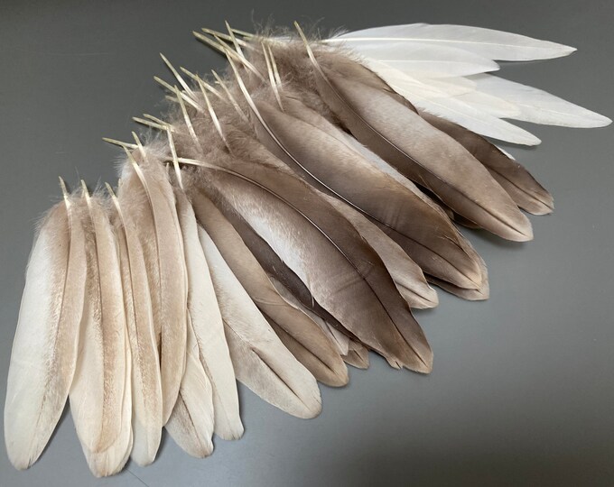 38 Pcs Flat Duck Feathers Assorted Feathers Real Bird Feathers Rare ...