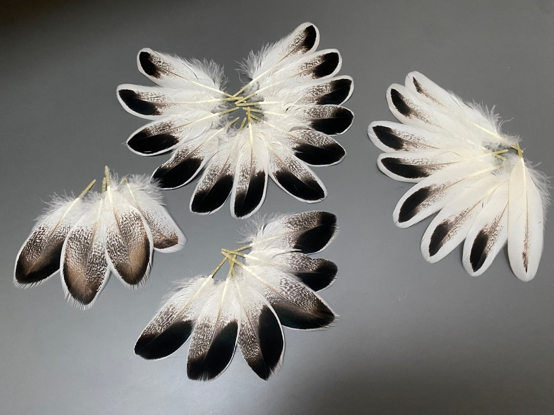 30 Pcs Duck Feathers Small Feathers Jewelry Feathers Earring Feathers ...