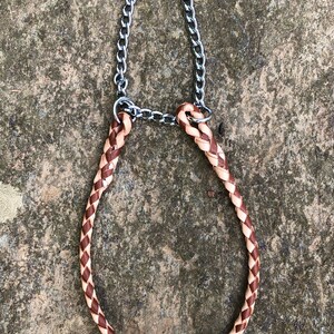Braided Leather Show Collar, Half Check Collar, Exhibition Collar ...