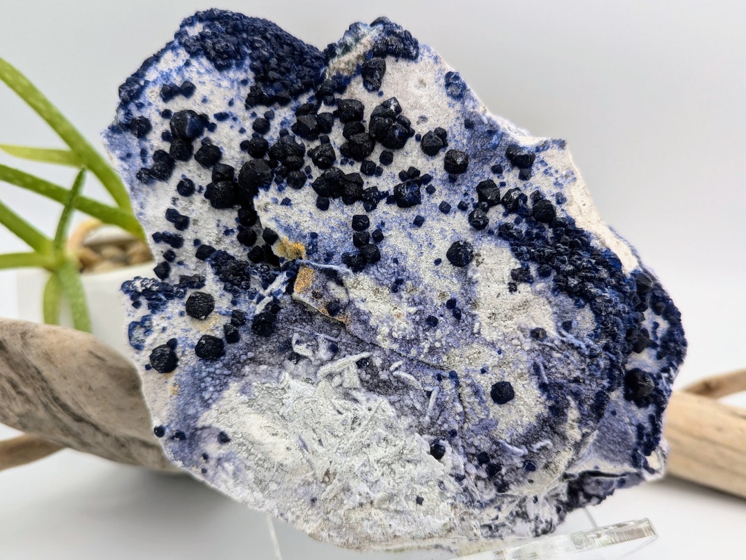 Blueberry Fluorite Museum Quality Large Specimen Druzy Dark Blue ...
