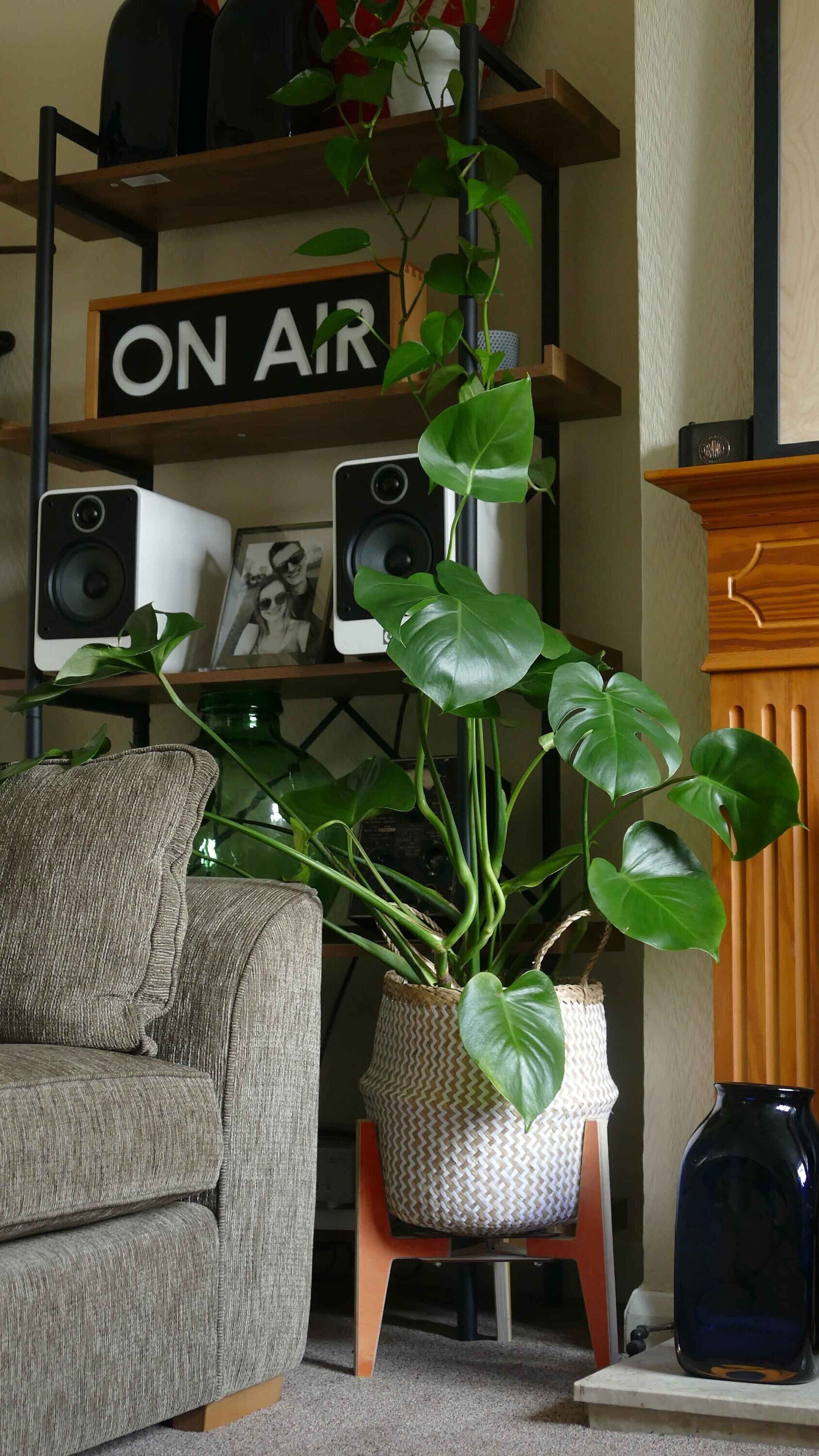 Adjustable Plant Stand in Orange | Plywood Plant Stand - Etsy