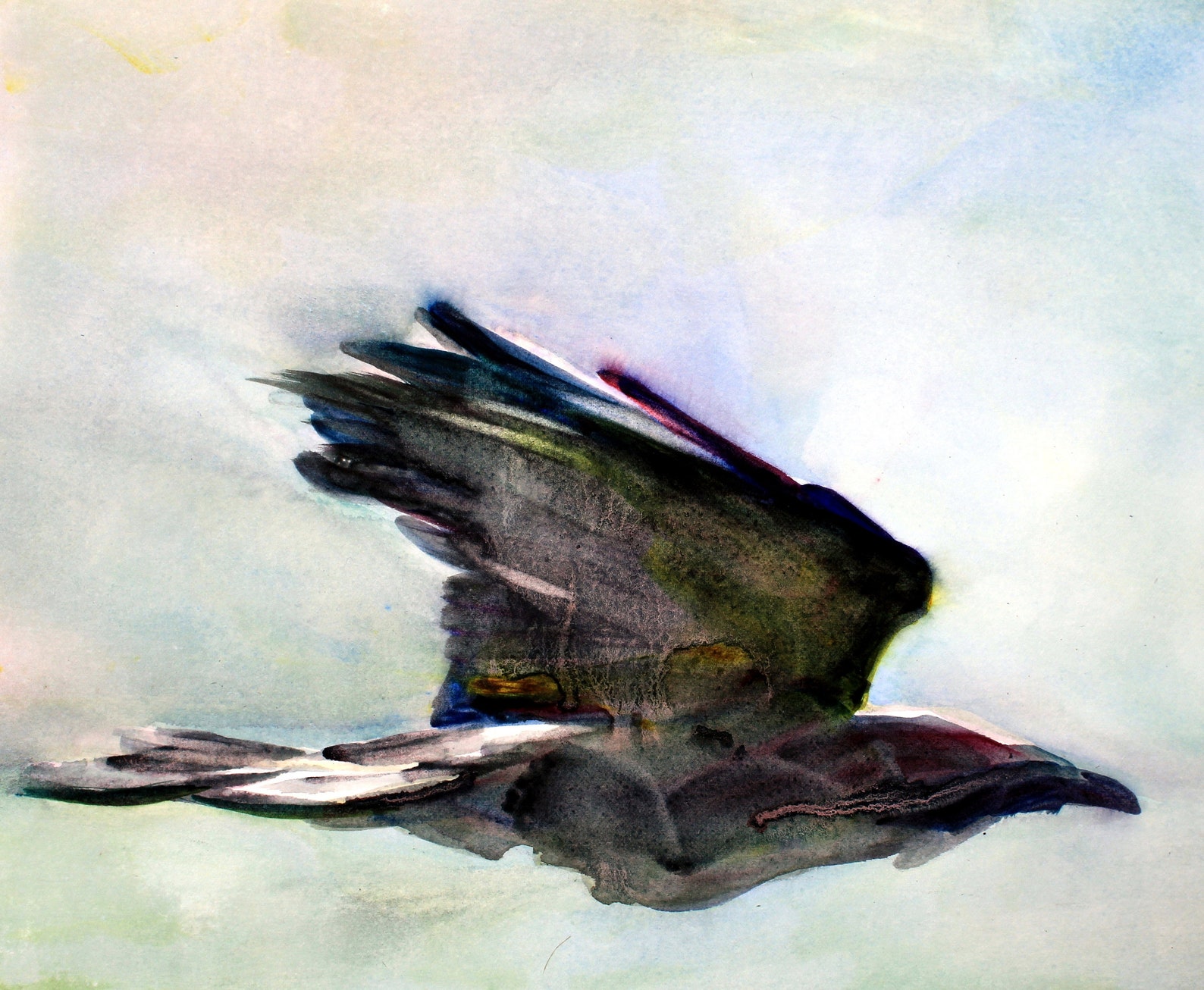 Raven in Flight is a Signed Print of a Raven Made From a - Etsy