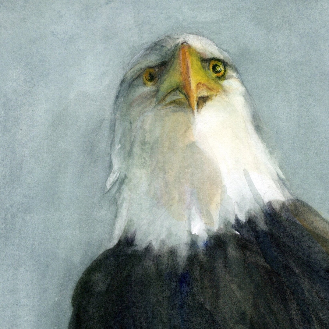 Original Bald Eagle Watercolor Painting by Bonnie White 5x7 - Etsy