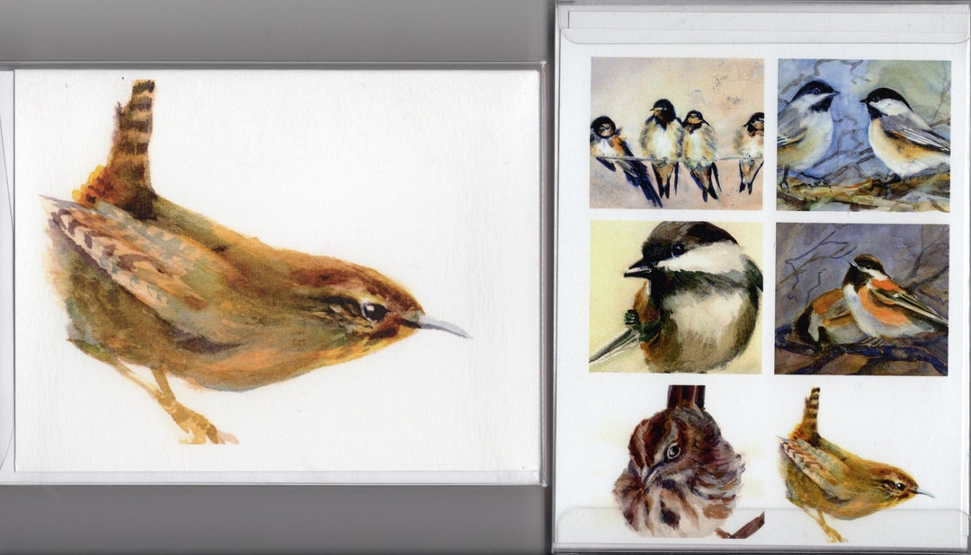 Bird 1 6 Assorted Note Cards With Envelopes Bonnie White Note Cards 4 ...