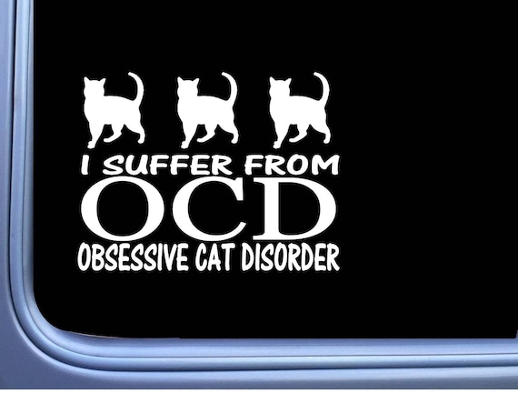 OCD Cat Disorder M264 6 Inch Sticker Crazy Lady Kitten Litter | Etsy