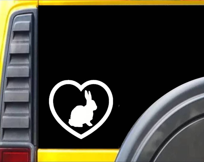 Rabbit T-rex Dinosaur Sticker Perfect Rabbit Tyrannosaurus Gift for Pet ...