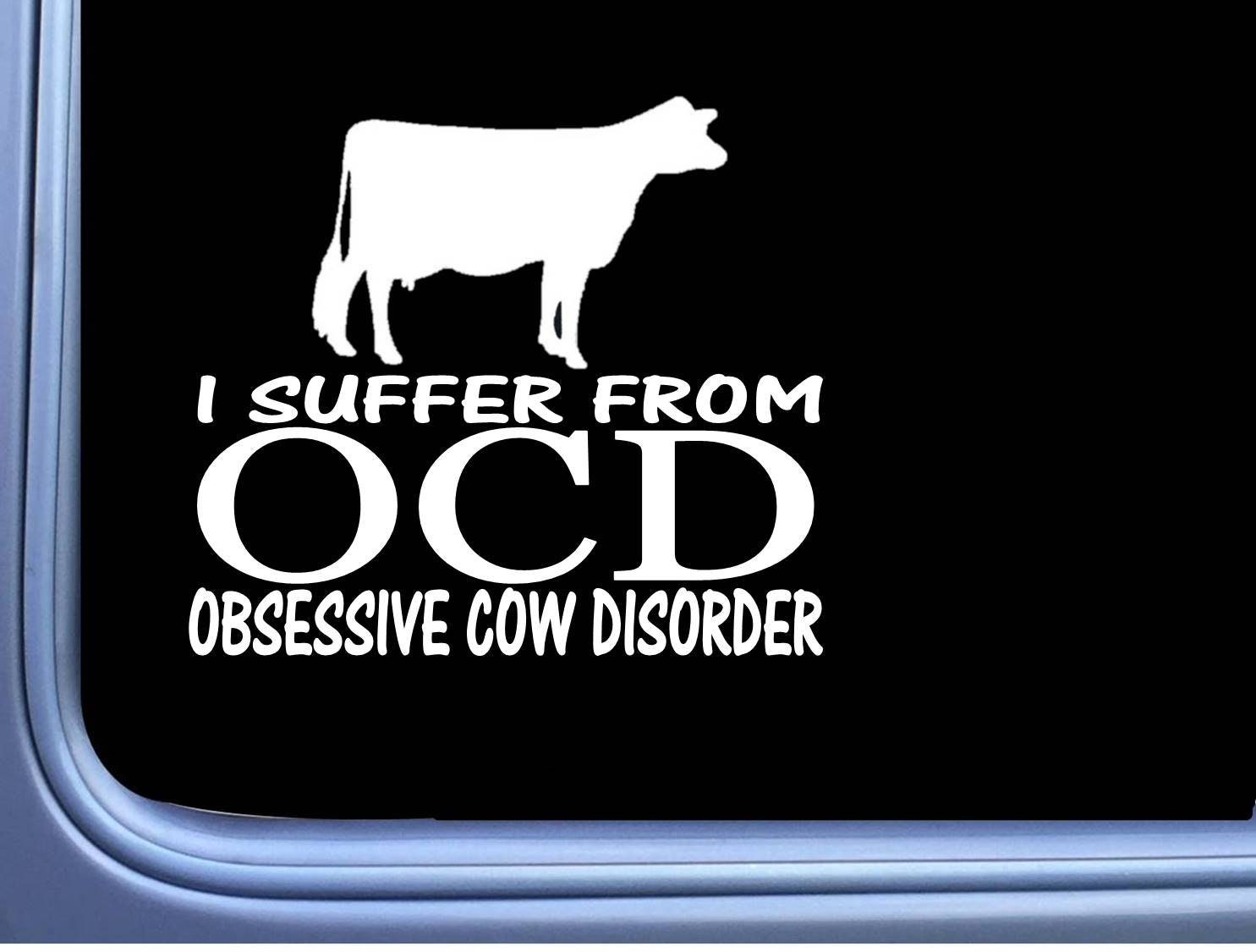 OCD Cow Disorder M263 Sticker Dairy Cattle Farmer Angus Decal - Etsy