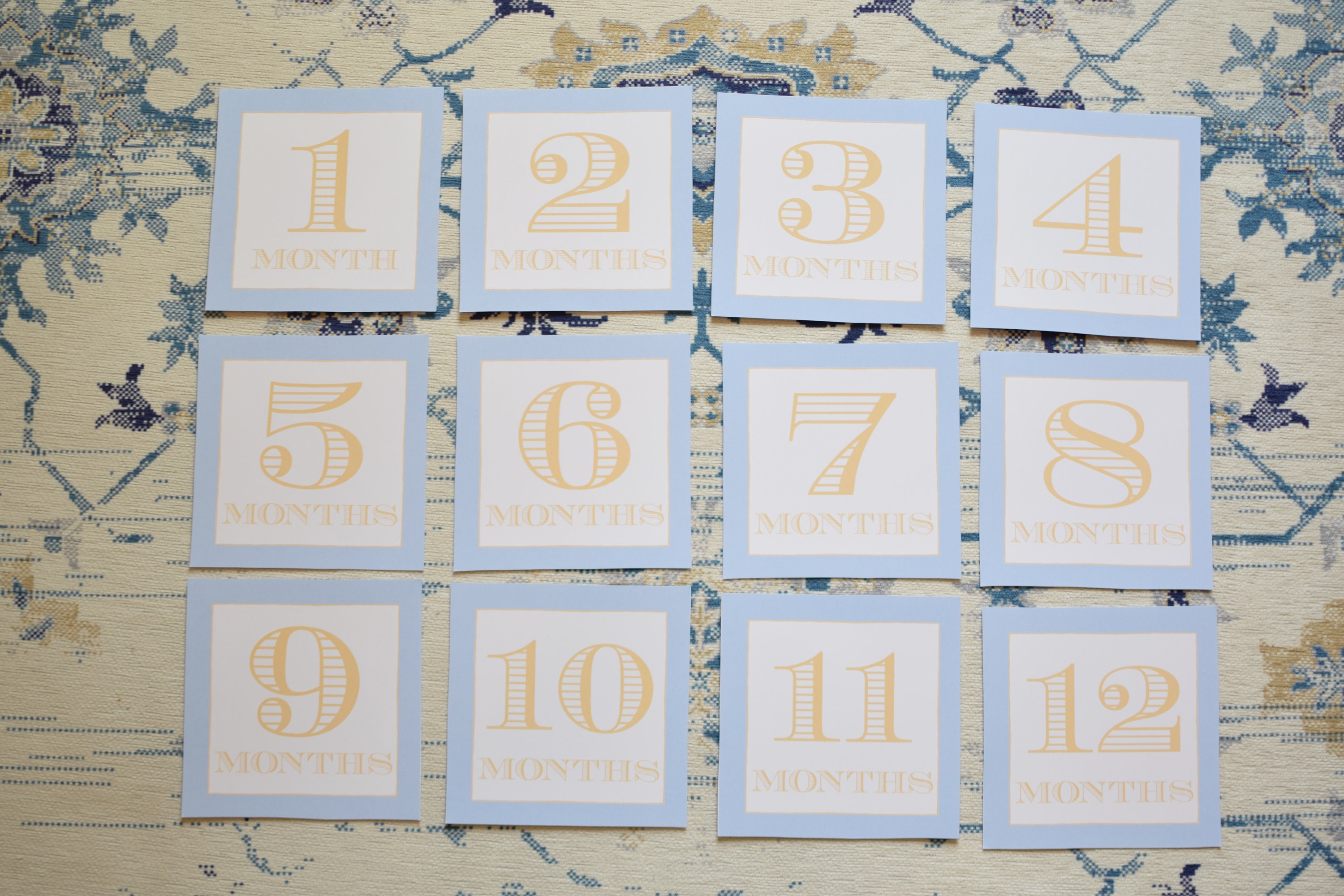 Instant Download Monthly Milestone Printable, Baby Boy Printable ...
