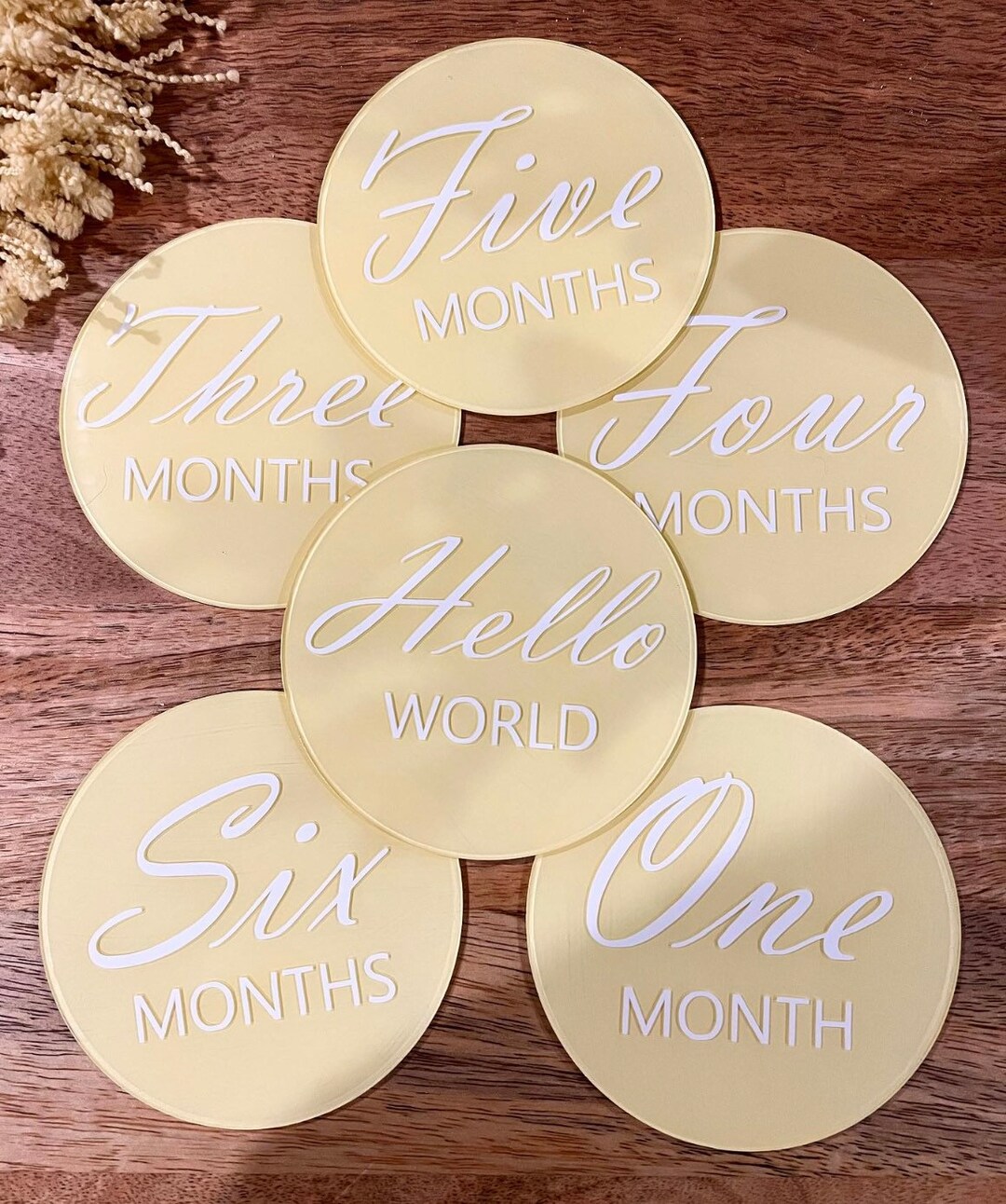 Acrylic Baby Milestones Disc Set baby Monthly Milestone Signs - Etsy
