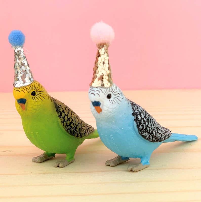 Parakeet Cake Topper/birds Party Cake/bird Animal Cake - Etsy