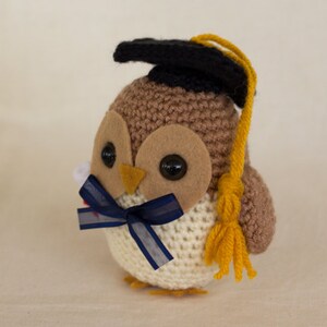 Graduation Owl Crochet Pattern, Owl Amigurumi, Crocheted Bird - Etsy