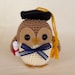 Graduation Owl Crochet Pattern, Owl Amigurumi, Crocheted Bird - Etsy