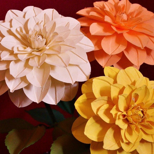 Dahlia Paper Flowers Templates Digital Delivery Video - Etsy