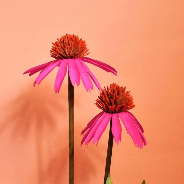 Cone Flower - Etsy