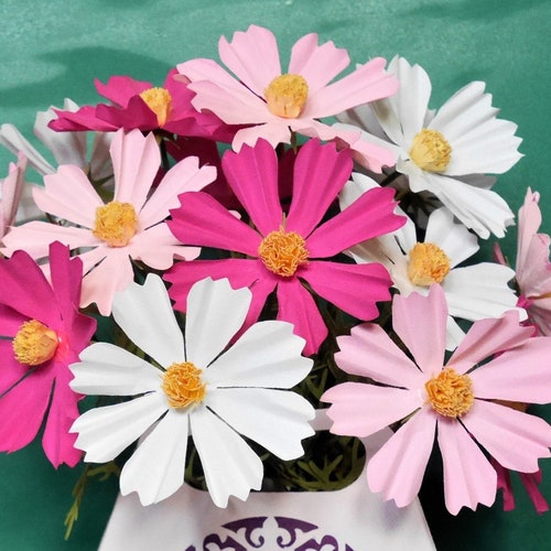 Cornflower Paper Flower Templates Video Tutorial - Etsy