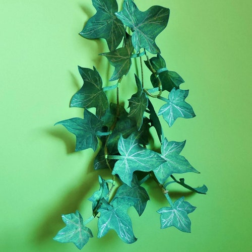 Ivy Paper Plant Templates Instant Download SVG - Etsy