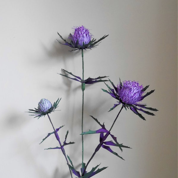 Thistle - Etsy