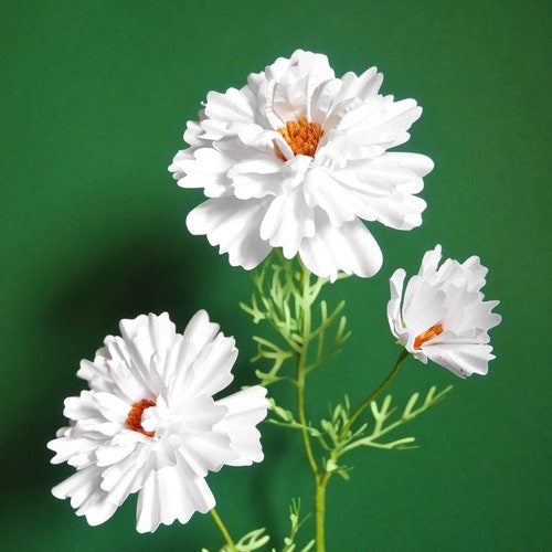 Double Cosmos Paper Flower Templates Instant Download - Etsy